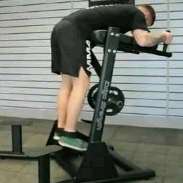 Reverse Back Hyper Extension by Andrei N. - Exercise How-to - Skimble