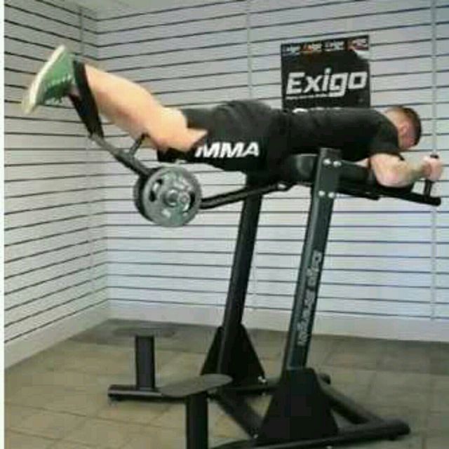 Reverse Back Hyper Extension by Andrei N. - Exercise How-to - Skimble