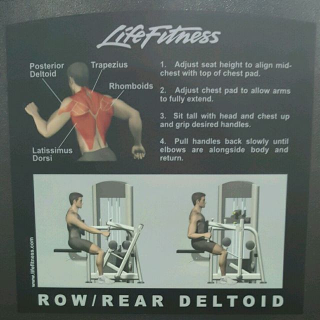 Row/Rear Deltoid by Andrew Parra - Exercise How-to - Skimble