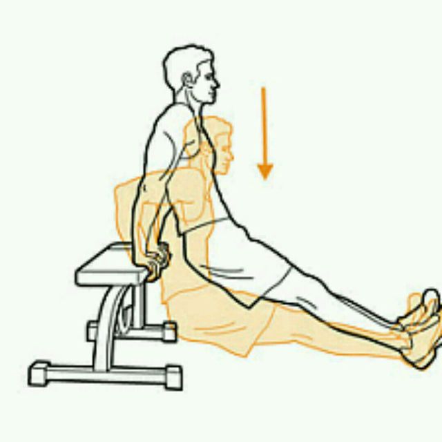 Trizeps Dips by Birte A - Exercise How-to - Skimble