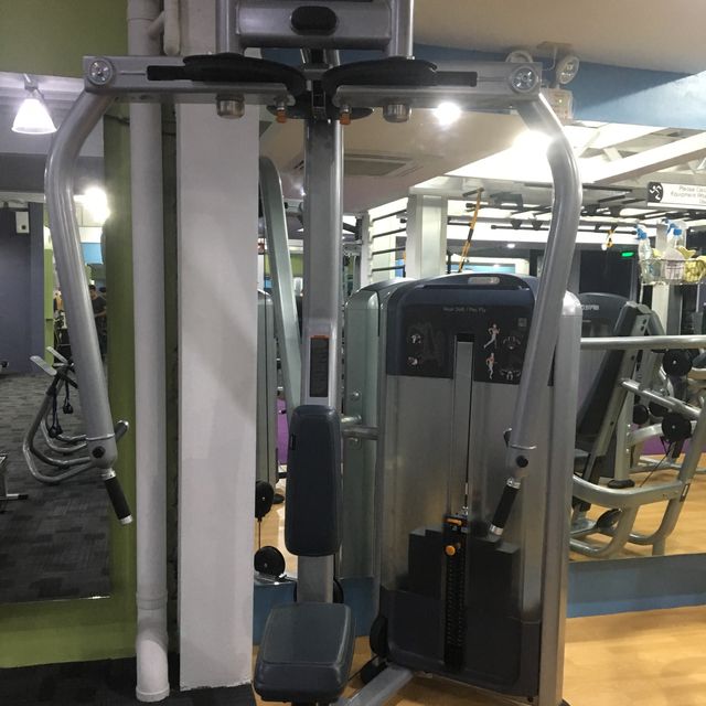 Pec Fly by Mayeeta C. - Exercise How-to - Skimble Workout Trainer