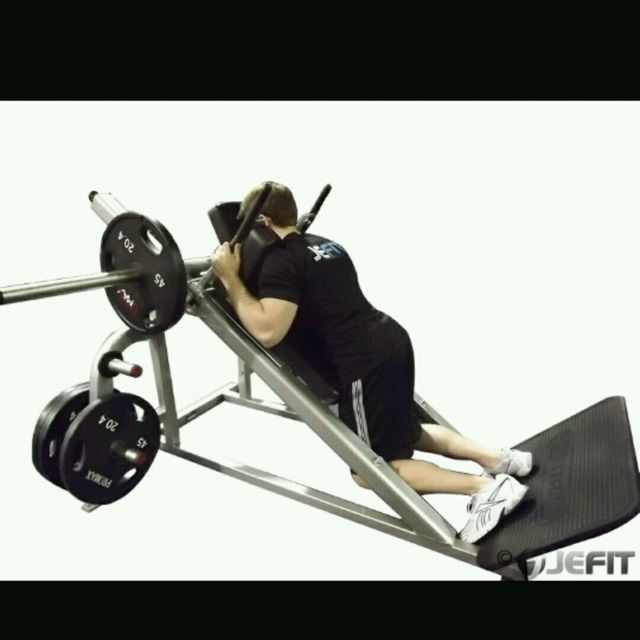 Back Hack Squats (Normal Stance) by 𝓐𝓷𝓲𝓽𝓪 🦋 - Exercise How-to - Skimble