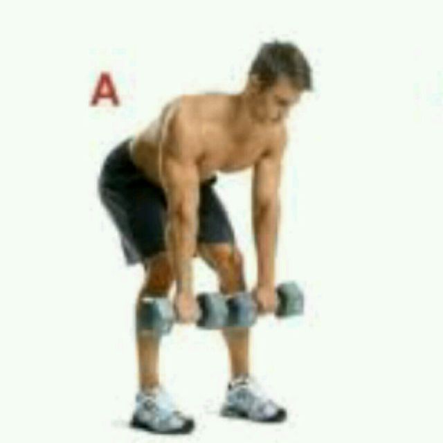 Bent Over Dumbbell Rear Deltoid Row by Aysel S. - Exercise How-to - Skimble