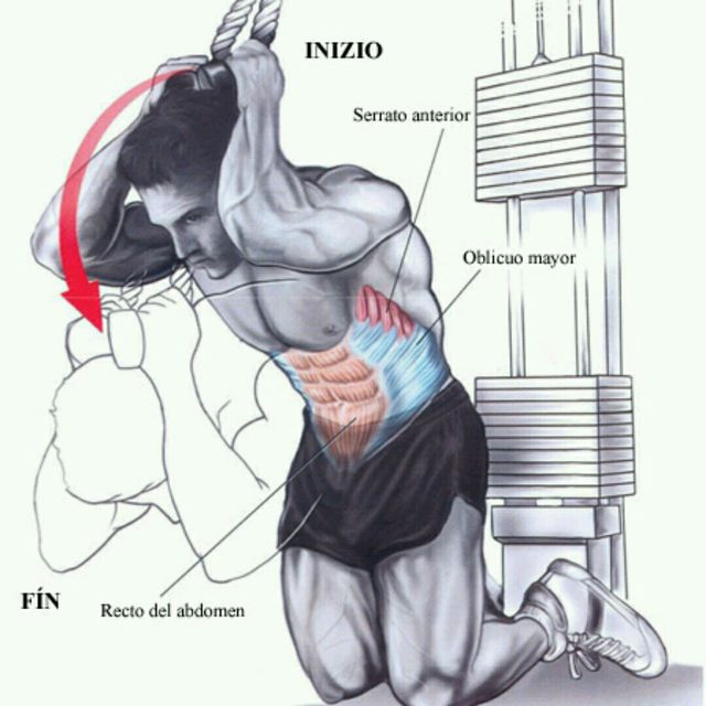 Crunch en polea alta by Juan Diego F. - Ejercicio Cómo hacerlo - Skimble