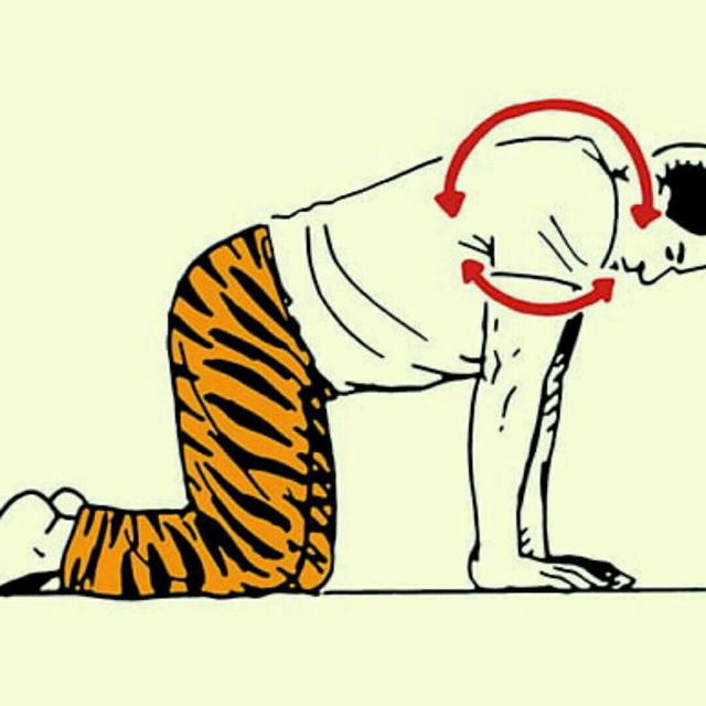 Shoulder Rolls by Christian Claudiu - Exercise How-to - Skimble