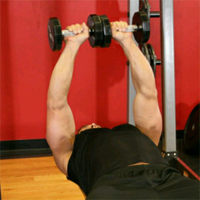 Tate Press by 𝔻𝕖𝕤𝕖𝕣𝕥 𝔽𝕠𝕩🦊 🌟 - Exercise How-to - Skimble