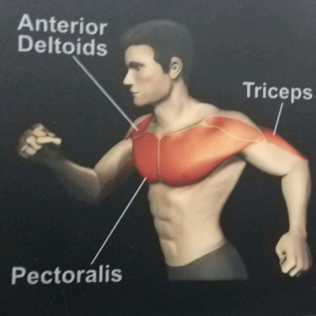 Upper Body Day - Beginner Workout by Maximiliano G. - Skimble