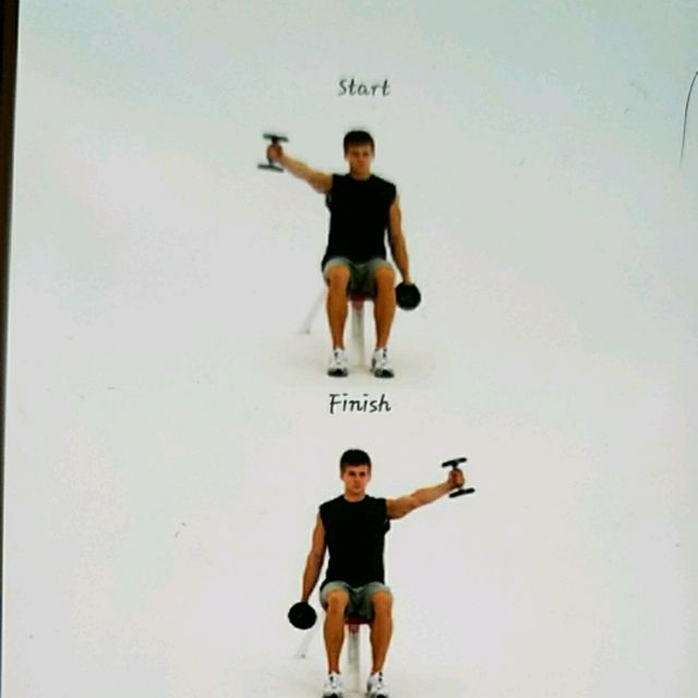 Seated Scaption by Amy M Hughes - Exercise How-to - Skimble