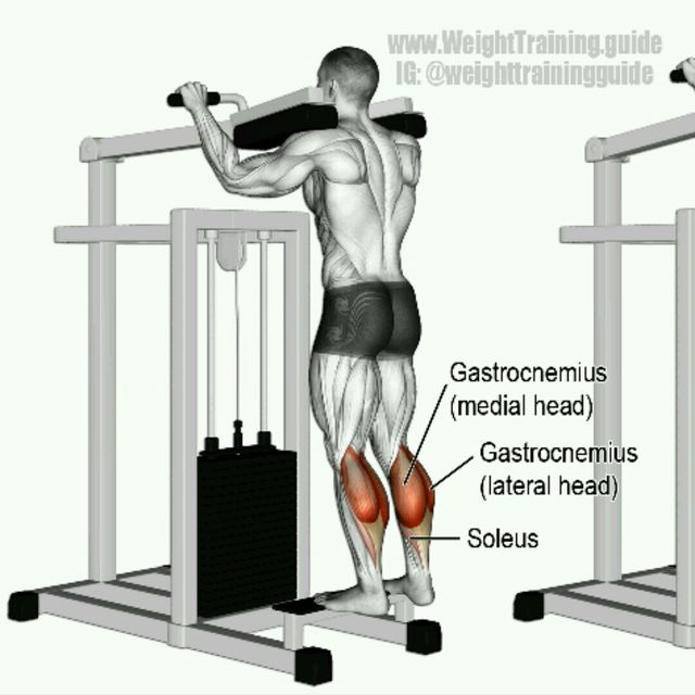 Standing Calf Raises by Dominic Al-kindy - Exercise How-to - Skimble