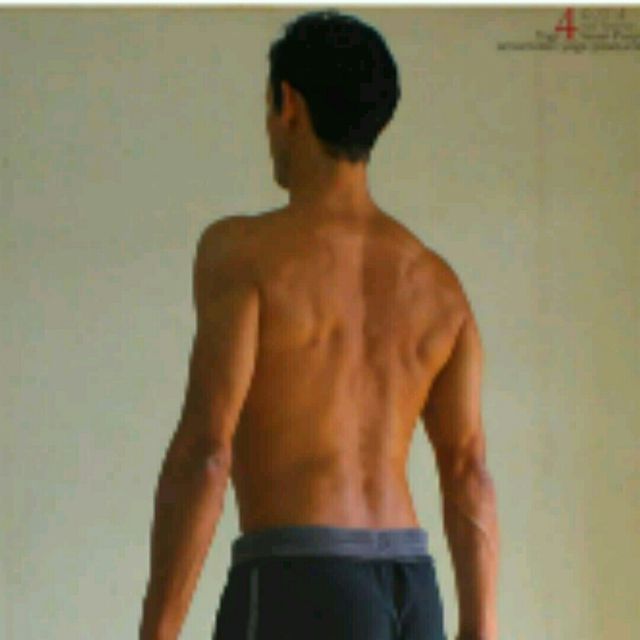 Bending the Ribcage Forwards and Backwards by Sungwook C. - Exercise ...