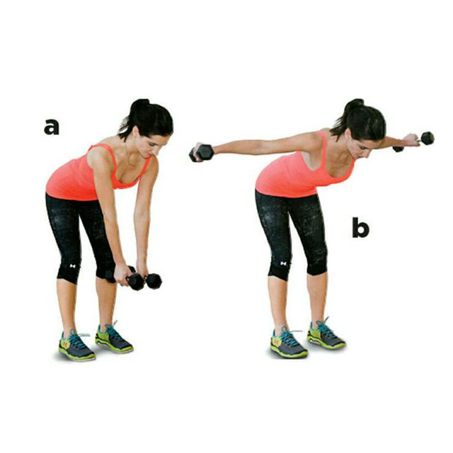 Rear Fly by Sonia R. - Exercise How-to - Skimble Workout Trainer