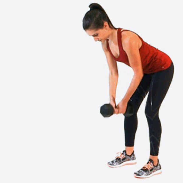 Dumbbell Pistons by Sonia R. - Exercise How-to - Skimble