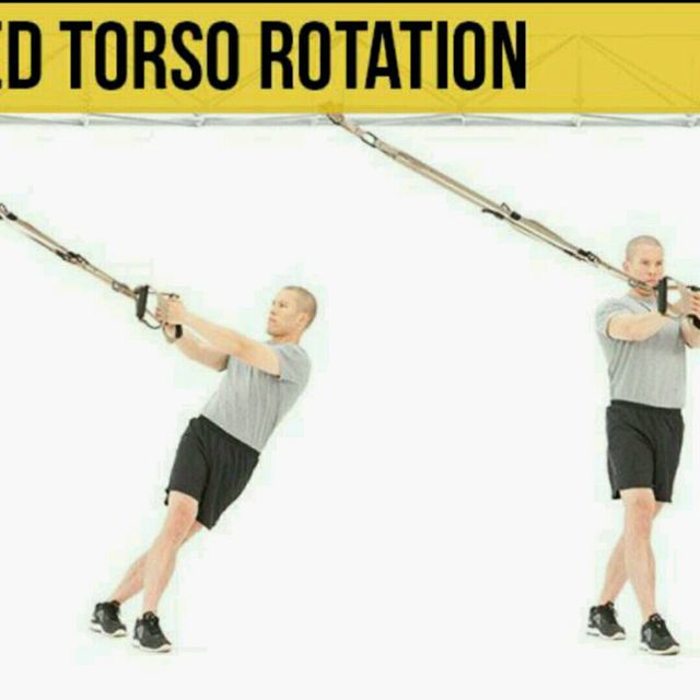 Resisted Torso Rotation by Chan Y. - Exercise How-to - Skimble