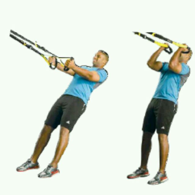 Trx Biceps Curls by Luca Benini Novelli - Exercise How-to - Skimble