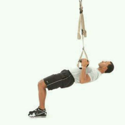 Trx Biceps Curls by Luca Benini Novelli - Exercise How-to - Skimble