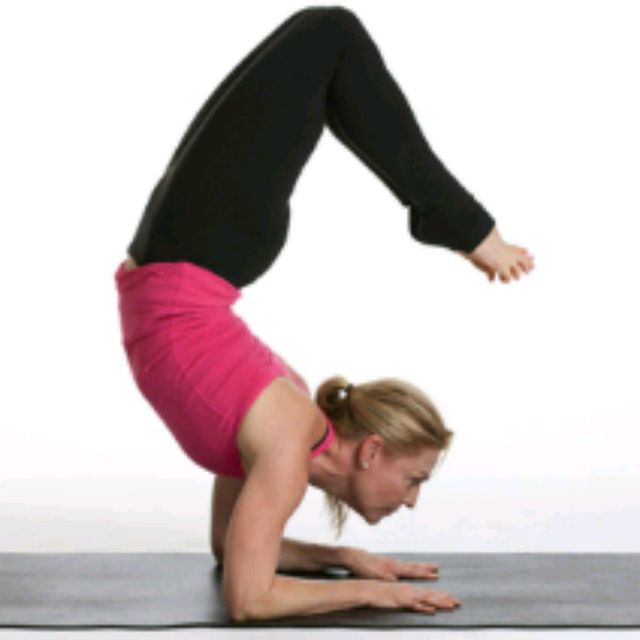 Elbow Scorpion Handstand by 𝔻𝕖𝕤𝕖𝕣𝕥 𝔽𝕠𝕩🦊 🌟 - Exercise How-to - Skimble