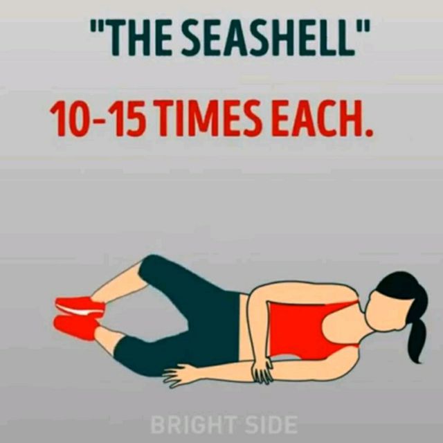 The Seashell by Ameenah A. - Exercise How-to - Skimble