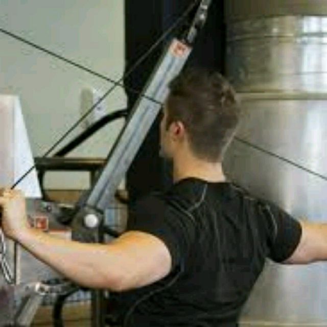 Rear Delt Cable Crucifix by Brandon Raybern - Exercise How-to - Skimble