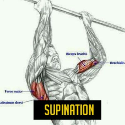 Supine Press by Benjamin Albos - Exercise How-to - Skimble
